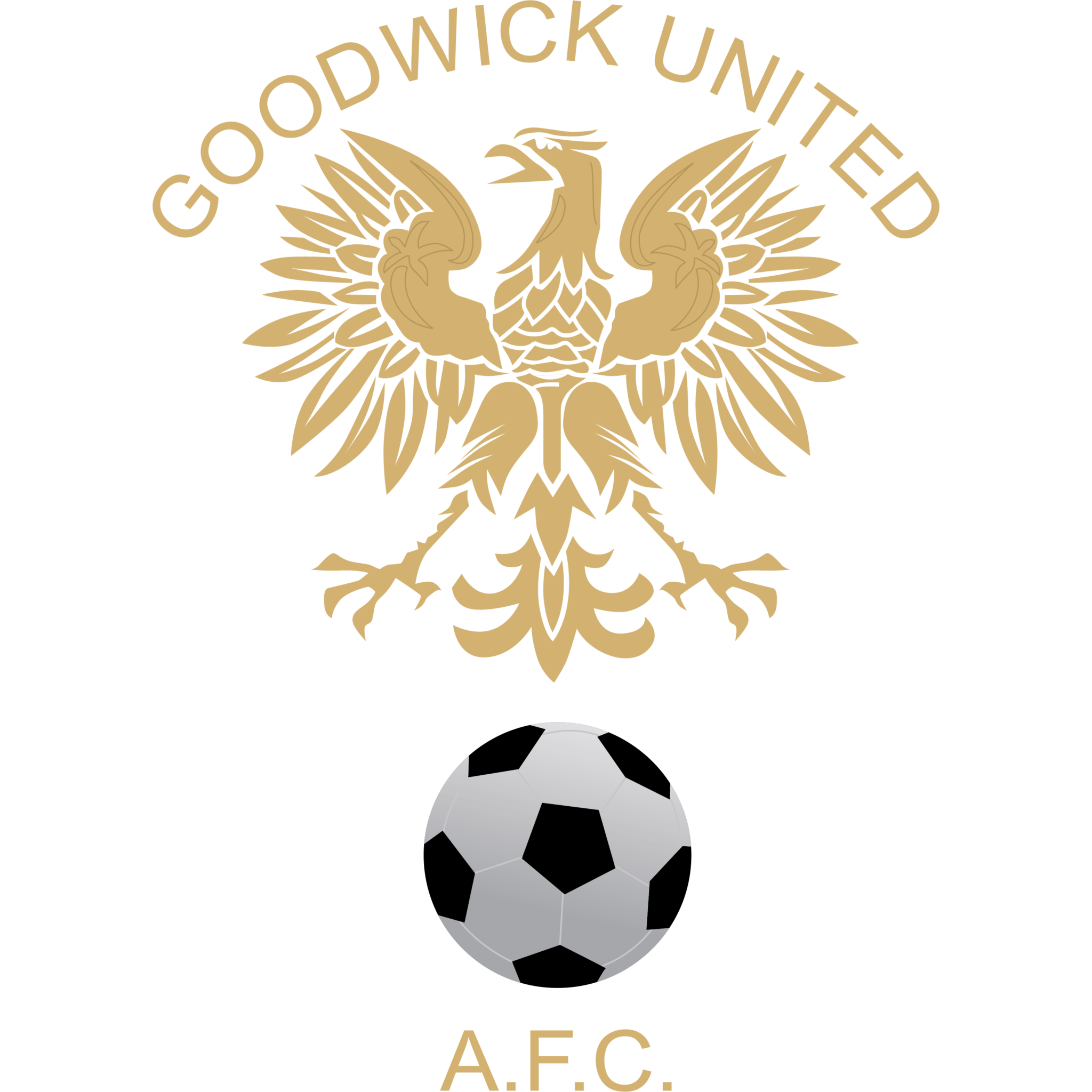 Club Shops | Macron Sports Hub Swansea